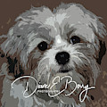 Diane E Berry - Official Website